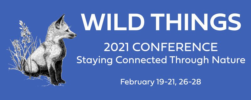 Wild Things 2021: Part I - Feb 19 | RingCentral Events