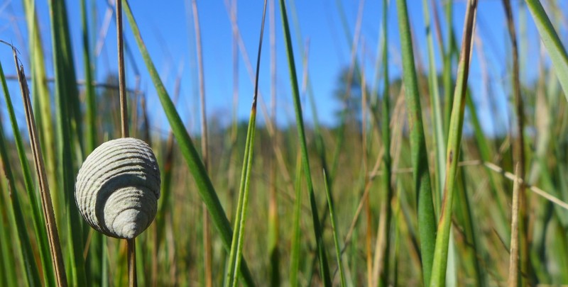 York River and Small Coastal Basins Symposium - May 13 | RingCentral Events