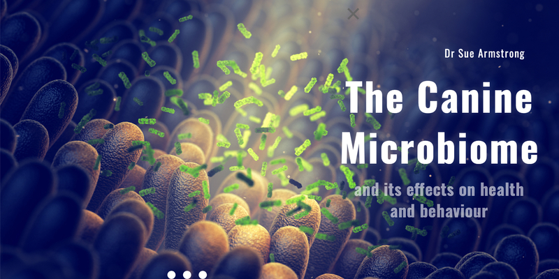 The Canine Microbiome and its Effects on Health and Behaviour