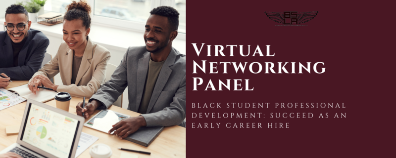 Virtual Networking Panel - Nov 16 | RingCentral Events