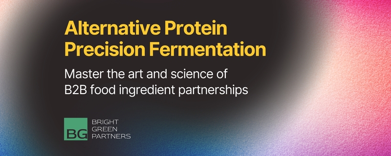 Alternative Protein Precision Fermentation: Food Ingredient Corporate ...